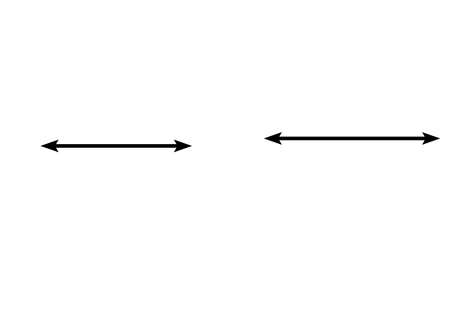 Pancreas 10 | Digital Histology