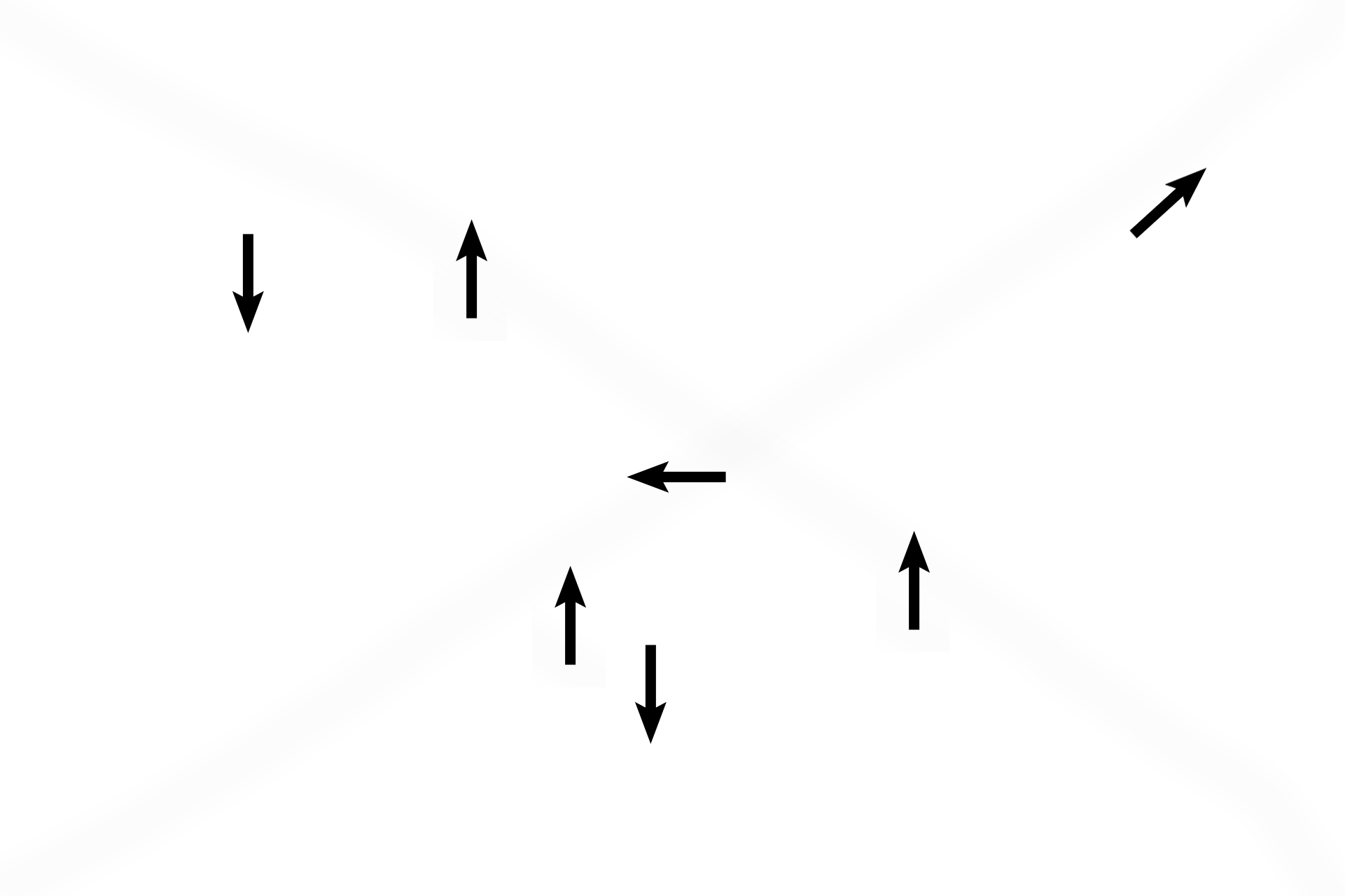 Alveolar duct 4 | Digital Histology